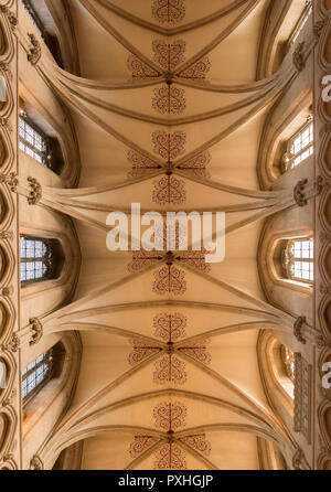 A vaulted medieval ceiling Stock Photo - Alamy