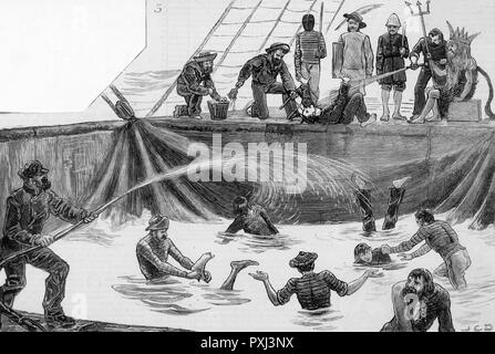 royal navy. Crossing the line equator ceremony ww1 Stock Photo - Alamy