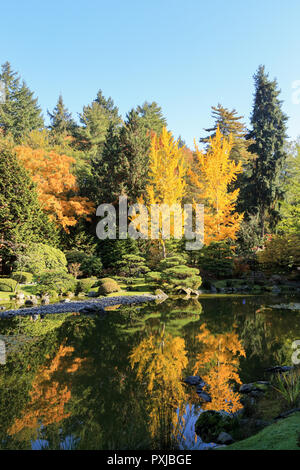 full of beautiful fall colors at Japanese Garden, Seattle Washington ...