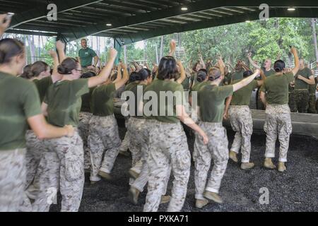 A recruit with Papa Company, 4th Recruit Training Battalion, goes down ...