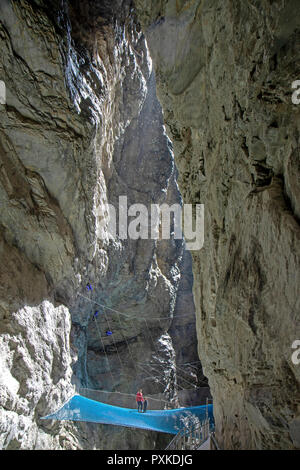 Spider web with rope Stock Photo - Alamy