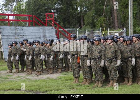 U.S. Marine Corps Rct. Corey Mink, Platoon 3077, Lima Company, 3rd ...