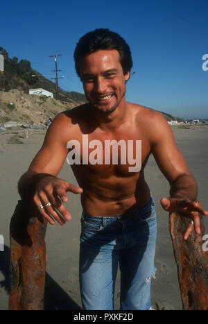 MALIBU, CA - NOVEMBER 12: (EXCLUSIVE) Actor Anthony Addabbo poses ...