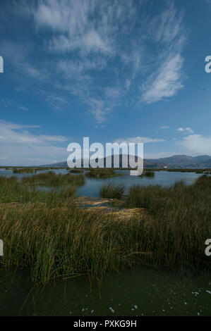 Visiting Uros floating islands Stock Photo - Alamy