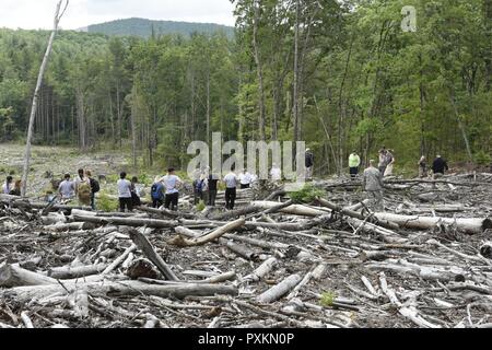 A cadaver dog searches a field for planted body parts from a North ...