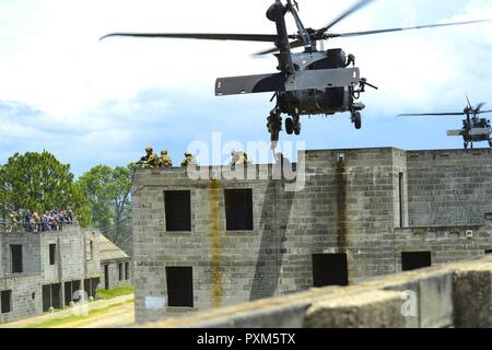 U.S. Army Rangers fast-rope from a MH-47 Chinook helicopter during U.S ...