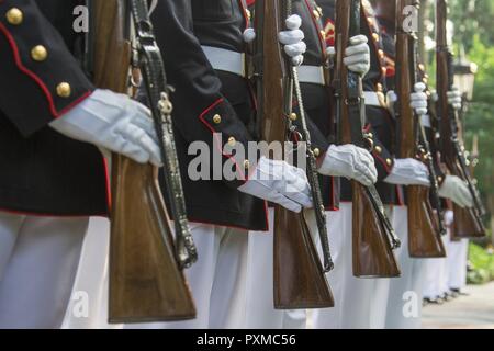 Australian Army soldier present arms at a Flag raising at Government ...