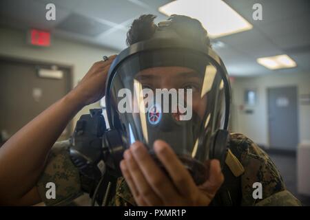 A U.S. Marine with Headquarters Company, Chemical Biological Incident ...