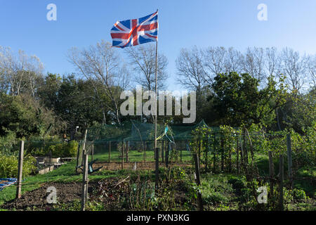 allotment in UK with union jack flag flying from cane flag post Stock ...
