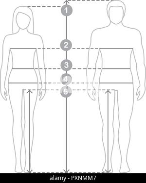 Female and male size chart anatomy human character, people dummy front ...