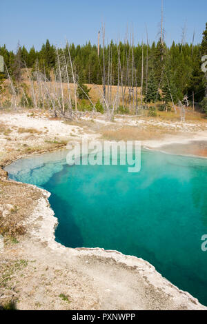 hot pools in Yellowstone National Park in Wyoming Stock Photo - Alamy
