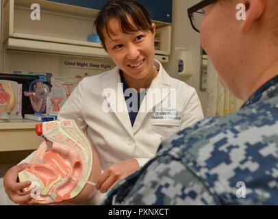 PAP test, cervical screening test. Gynecologist doctor taking smear for ...