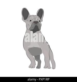 French Bulldog canine hand drawn illustration. Set of five frenchies in ...
