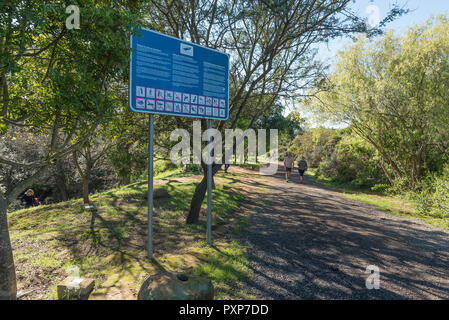 The arboretum at Majik Forest, a public park in Durbanville, in the ...