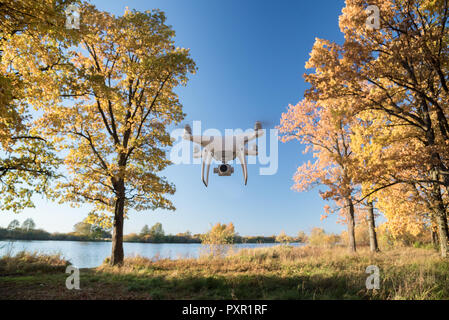 Demonstration flight drone DJI Phantom 4 Pro in the autumn forest ...