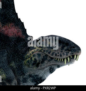 Dimetrodon, a mammal like reptile of Permian period, life seized Stock ...