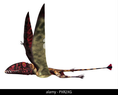 Dimorphodon macronyx, a prehistoric era pterosaur from the early Stock ...