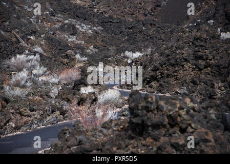 Newberry national Volcanic monument near Bend Oregon Stock Photo - Alamy