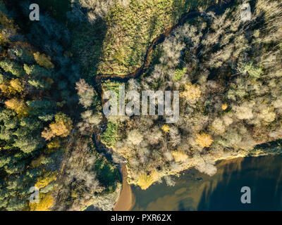 drone image. aerial view of wavy river in autumn colored forest. Gauja ...