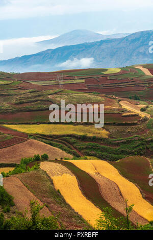 Landscape of the multicolored Dongchuan Red Land in Huashitou village ...