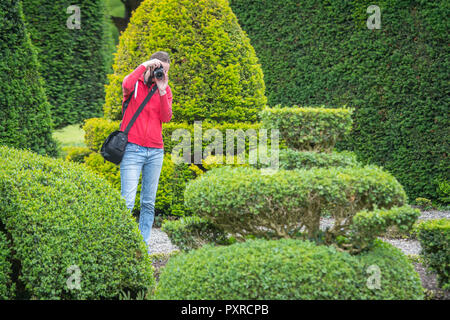 Person taking a photo of Geometric Hedgebery of Levens Hall , Kendal ...