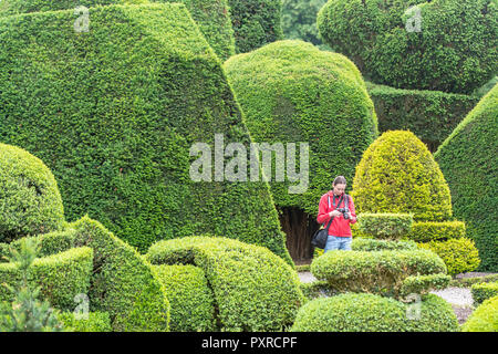 Person taking a photo of Geometric Hedgebery of Levens Hall , Kendal ...
