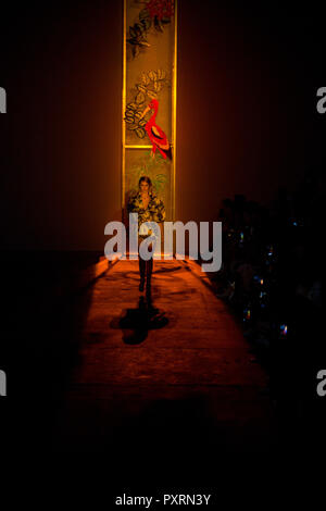 Sao Paulo, Brazil. 23rd Oct 2018. SPFW N46 - Parade of the PatBo brand ...