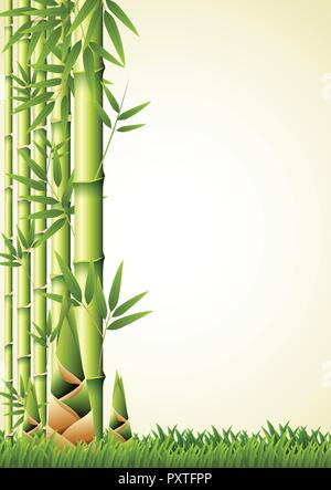Bamboo design background Stock Vector Image & Art - Alamy