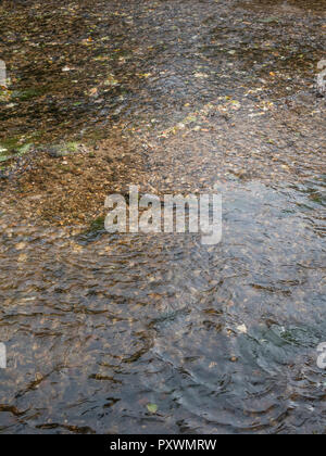 Shallow river revealing shingle river bed. Metaphor 'shallow waters ...