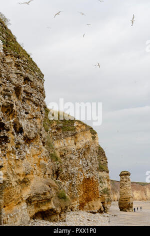 Marsden Rock and its birds Stock Photo - Alamy
