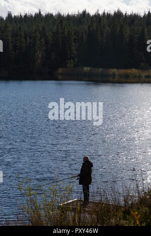 Scenic view on Meenameen lake in Lough Navar Forest in Co. Fermanagh ...