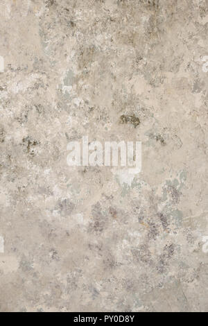 White grunge structural plaster texture background Gray white rough ...