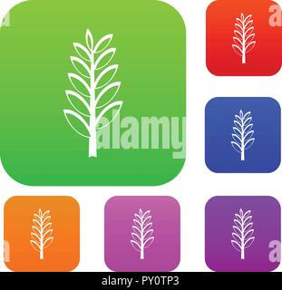 Ripe spica set color collection Stock Vector Image & Art - Alamy
