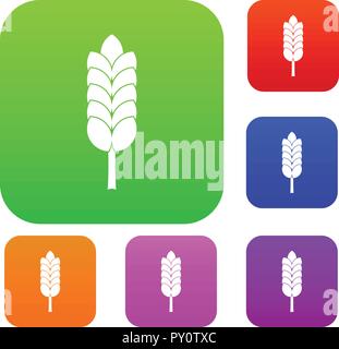 Spica set color collection Stock Vector Image & Art - Alamy