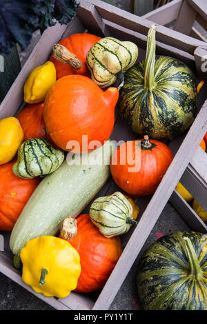 Fresh vegetables in wooden boxes on white background Stock Photo - Alamy