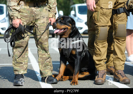 Soldiers of KORD (police strike force, SWAT), full armor, standing in a ...