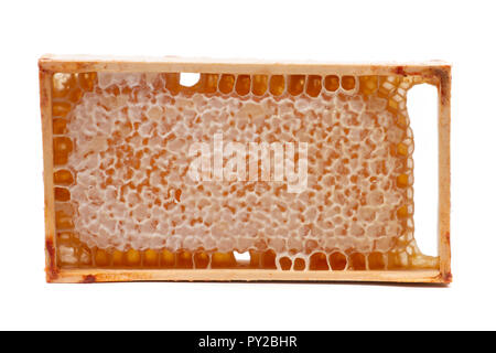 sweet honeycomb crate isolated on a white background Stock Photo - Alamy