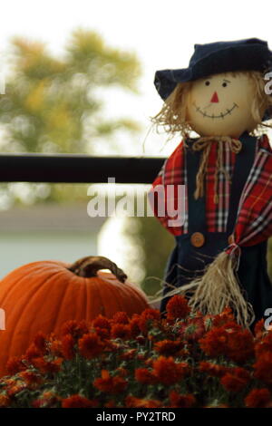 An autumn decoration with pumpkins, flowers and scarecrow Stock Photo ...