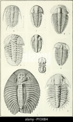 Canadian Alpine Journal I, 2, 029 Stock Photo - Alamy