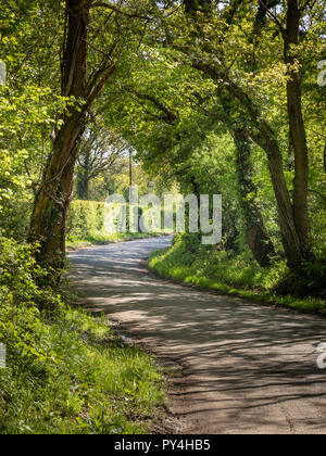 Footpaths and roads Billingshurst West Sussex UK Stock Photo - Alamy