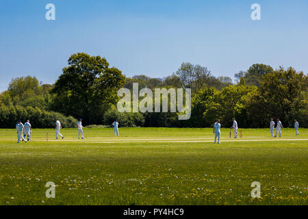 Jubilee Fields Cricket Pitch Billingshurst West Sussex UK Stock Photo ...