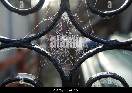 Wrought Iron Gate with Spider Web Design Stock Photo - Alamy