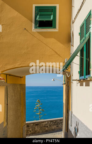 Aerial view of the Mediterranean Sea framed by blooming pink roses on ...