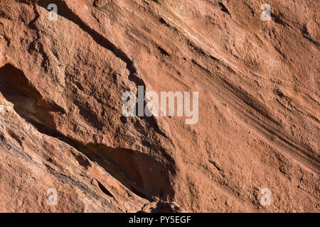 Red rock wind worn texture at sunrise Stock Photo - Alamy