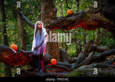 The Chained Oak, Alton, Staffordshire Stock Photo - Alamy