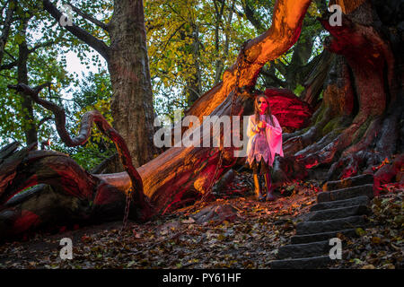 The Chained Oak, Alton, Staffordshire Stock Photo - Alamy