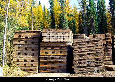 Piles of swamp mats used to build roads in muskeg Stock Photo - Alamy