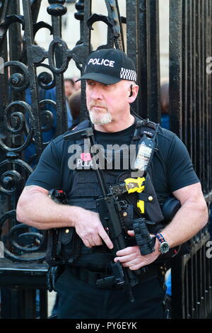 Armed British policeman guarding the gate to the Houses of Parliament ...
