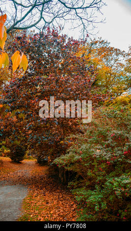 Howth Castle and Grounds Stock Photo - Alamy