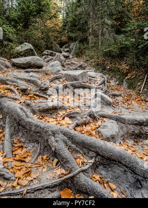 Beautiful tourist trail leading to the so called Errant Rocks in the ...